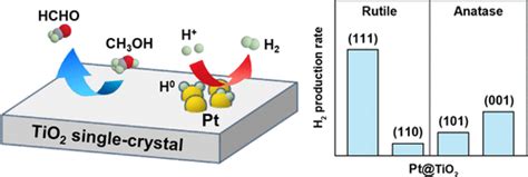 Facet Dependent Photocatalytic Activity Of Rutile And Anatase Single Crystals In The Presence