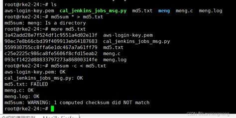 md5sum 命令介绍和使用案例 md5sum命令详解 csdn博客