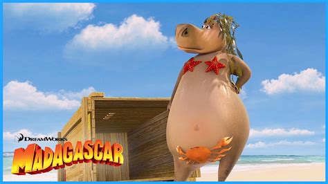 Madagascar Gloria Buit Dreamworks Madagascar Best Of Gloria And