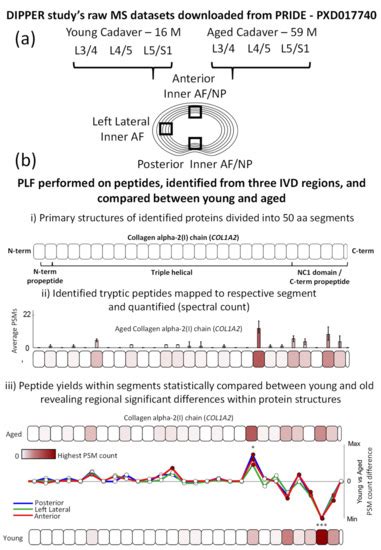 Ijms Special Issue Extracellular Matrix Aging Principles And Consequences