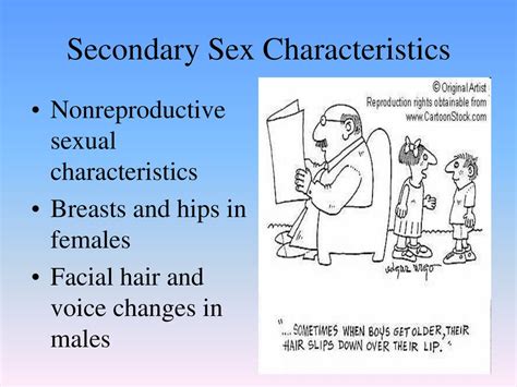 Adolescence Ppt Download