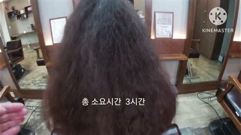 복구매직 전문 빈헤어비즈 울산미용실 Youtube