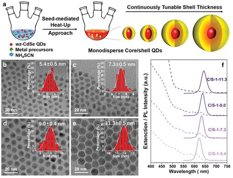A Schematic Diagram For The Synthesis Of Core Shell Qds By Shu Download Scientific Diagram