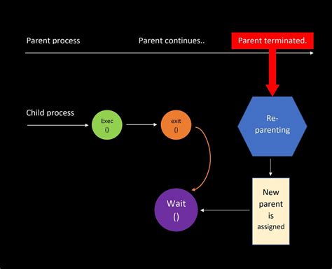 Zombie Vs Orphan Processes Explore And Learn By Akshat A Mistry Medium
