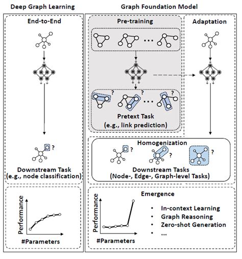 前沿综述：图基础模型是否代表图机器学习的下一个前沿 智源社区