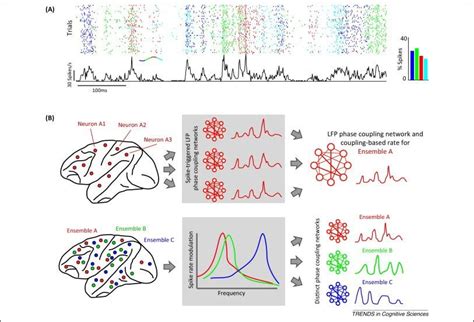 Neural Population Coding Combining Insights From Microscopic And Mass Signals R Neuro