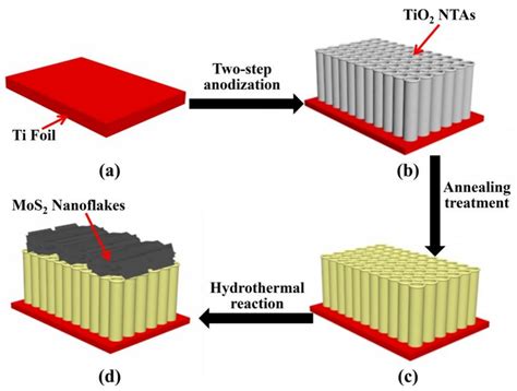 Schematic Illustration Of The Synthesis Procedure Of Mos2 Tio2 Download Scientific Diagram