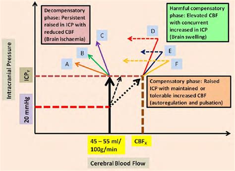 The Correlation Between Icp And Cbf The Compensatory Phase Exists At