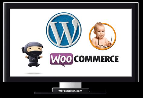 Créer Un E Commerce Avec Wordpress Mode Demploi Complet