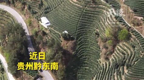 奋力在乡村振兴上开新局 绘就苗乡侗寨和美新画卷凤凰网视频凤凰网