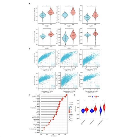 Klrb1 Affects Immune Cell Expression In The Tme In Breast Cancer The Download Scientific