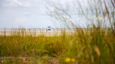 Bowditch Point Park On Fort Myers Beach Reopen After Closure Due To