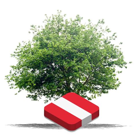 Offset CO BY TON Plant Trees Ecorand CO Fighter NPO