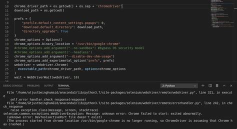 Python Chrome Not Running Without Headless Mode Ubuntu 1804 Stack Overflow
