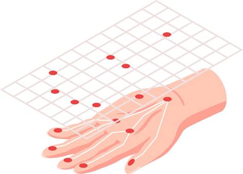 Isometric Biometric Identification Template Vector Image