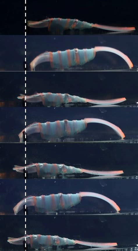 Worm Like Robot Created To Wiggle Through Your Body And Cure Diseases The Us Sun