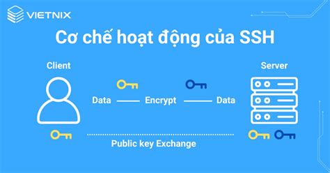 Hướng Dẫn Cách Ssh Vào Server Linux 2024