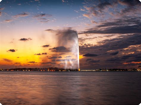 اتصل بنا سالكو