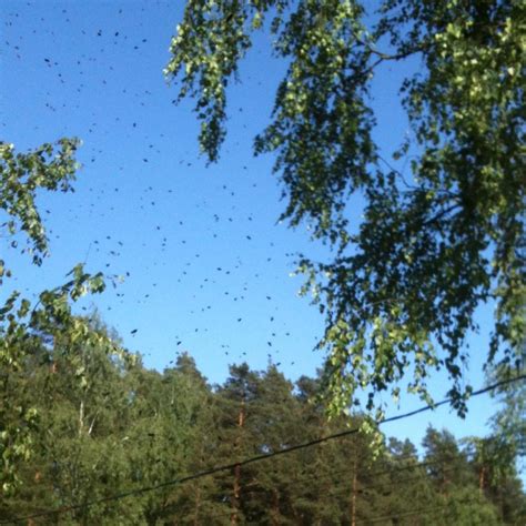 Фермерское хозяйство