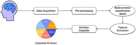a fine grained approach for eeg based emotion recognition using
