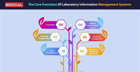 Laboratory Information Management System Productivity