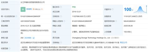 长江存储母公司变更为有限责任公司（外商投资企业与内资合资）