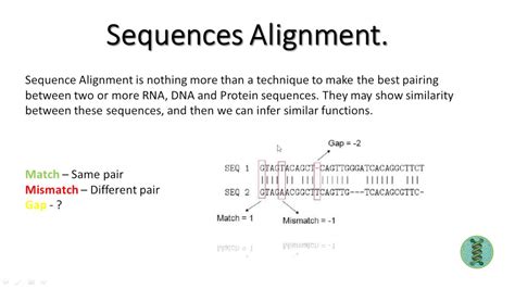 Alignment Sequences Bioinformatics At Lucas Cade Blog