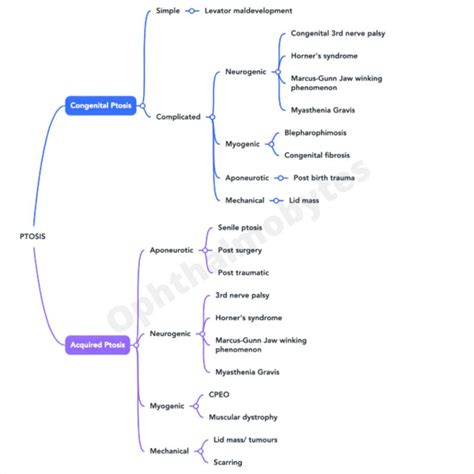 Madhuvanthi Mohan On Linkedin Ophthalmomaps Classification Of Ptosis
