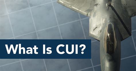 Cui The Complete Guide To Controlled Unclassified Information