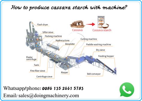 What Kind Of Cassava Starch Content Is Highblog
