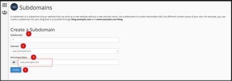 How To Configure Wildcard Sub Domain Aorasoft Helpdesk