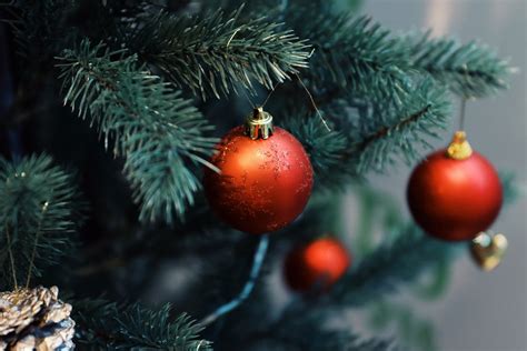 Безкоштовне стокове фото 2023 рік Canon90d Jönköping Noel Nordic Xmas дерево блискуча