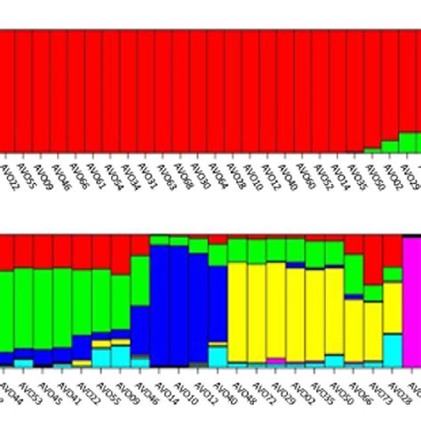 Population Genetic Structure Of A Using No Admixture Model And
