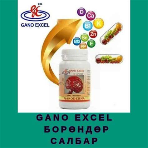 Hishigchuluun 🚩Дэлхийд бүртгэгдсэн 5000 төрлийн эмийн ургамлуудаас 1 р т ордог Ганодерма