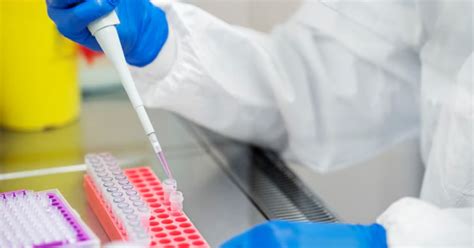 Lamp Pcr A Rapid Revolution In Molecular Diagnostics Science Helix
