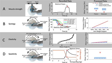 Illustration Of Each Of The Measurement Protocols Includes A Sketch Of Download Scientific