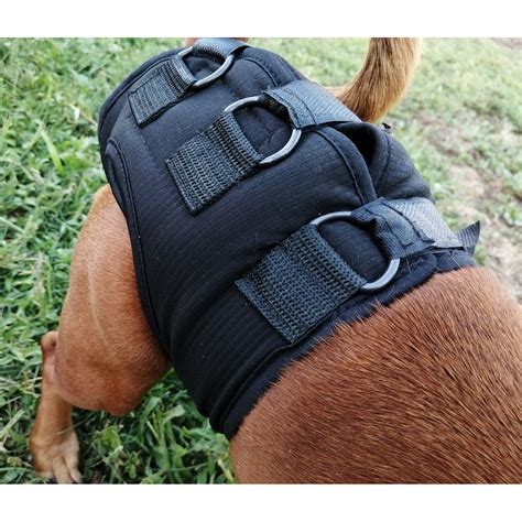 Soporte De Caderas Para Displasia