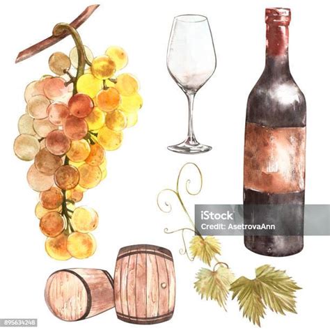 와인을 설정합니다 스케치 스타일에 포도주 양조 법 제품입니다 배럴 유리 포도 나뭇가지와 수채화 그림 클래식 알콜 음료입니다 0명에 대한 스톡 벡터 아트 및 기타 이미지
