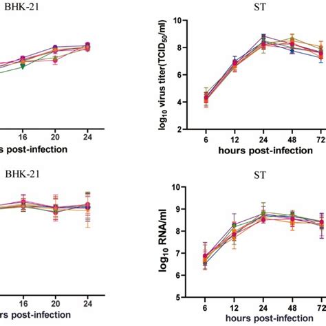 Replicating Ability Of Sva Stem Loop I Mutants Bhk 21 And St Cells Download Scientific Diagram