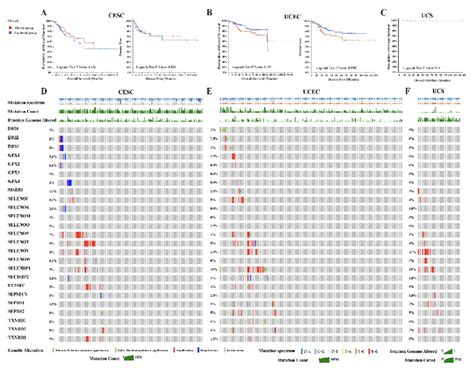 Comprehensive Analysis Of Selenoprotein Gene Expression And Prognostic Value In Ovarian Cancer