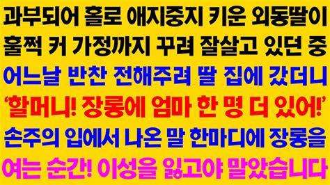 과부되어 홀로 애지중지 키운 외동딸 어느 날 반찬 주러 딸 집에 들렀다가 다 같이 식사를 하게 됐는데 못 볼걸 보고 말았습니다 사이다 사연 감동사연 톡톡사연