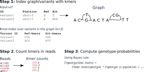 Overview Of A Typical Alignment Free Genotyping Approach First Kmers Download Scientific