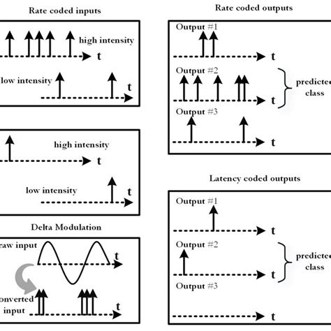 A Sample Of Spike Based Encoding And Decoding Strategies Left Download Scientific Diagram