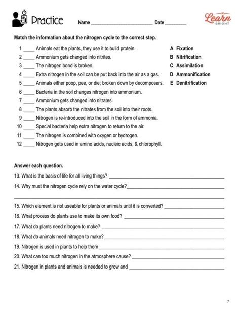 The Nitrogen Cycle Worksheet Teacher Made Twinkl Worksheets Library