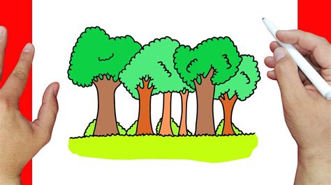 C Mo Dibujar Paso A Paso Un Bosque Para Ni Os Dibujos De Colorear The
