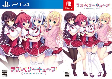 Raspberry Cube Confirmed For August 29 Release On Switch Nintendosoup