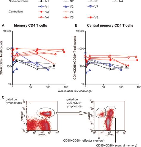 Changes in peripheral memory CD4 ϩ T cell counts Noncontrollers are Download Scientific