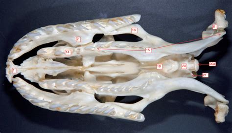 Lab 16 Python Diagram Quizlet