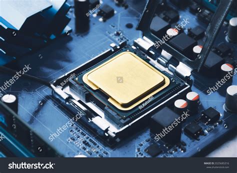 Gold Cpu Processor Chip Connector Socket Stock Photo 2025685316 Shutterstock
