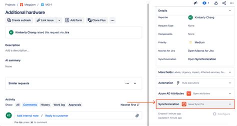 Issue View Panel